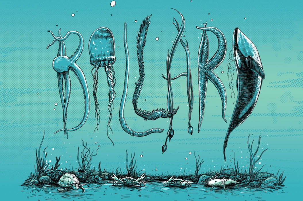 Support Ballard - Online Marketplace - Shop - Support Local - Ballard