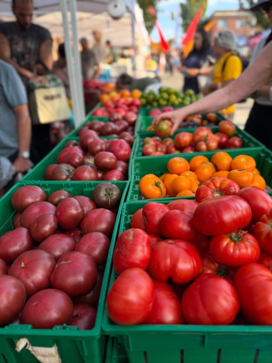 Meet us at the Farmers Market on Sundays – Visit Ballard