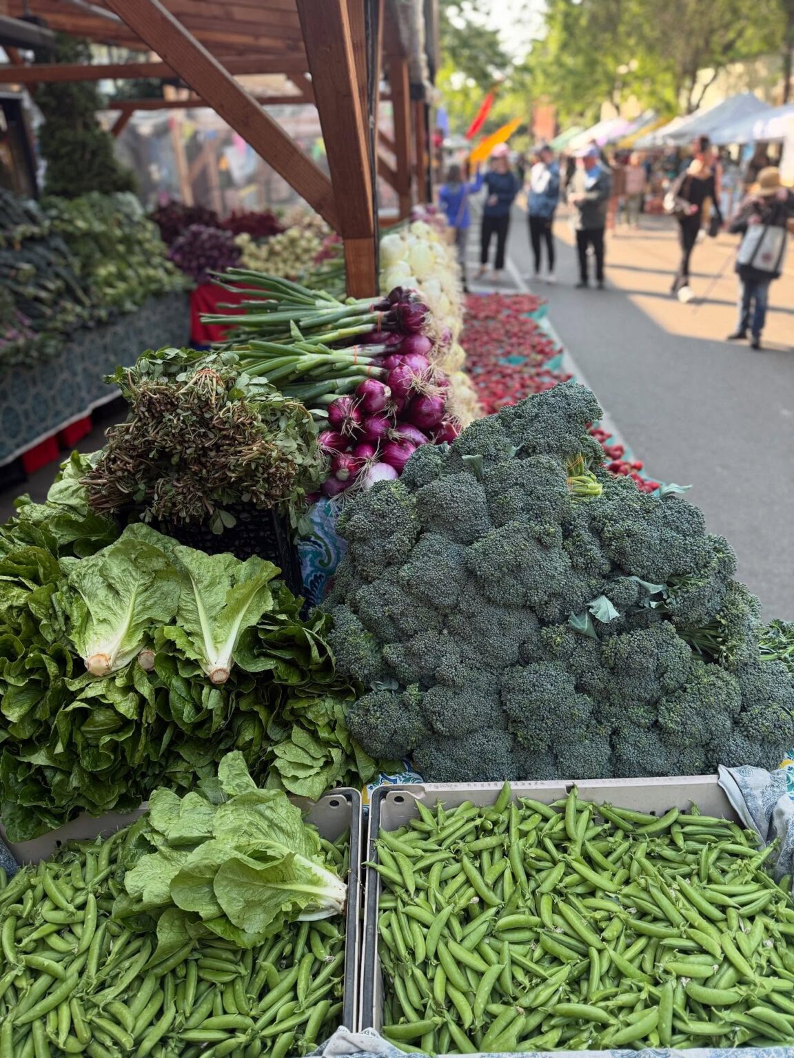 Meet us at the Farmers Market on Sundays – Visit Ballard