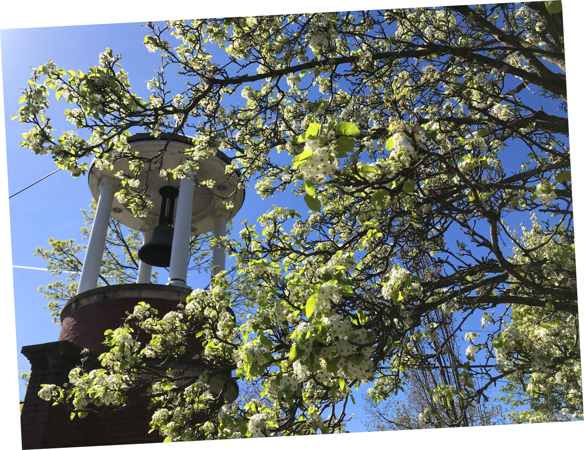 About Ballard – Visit Ballard